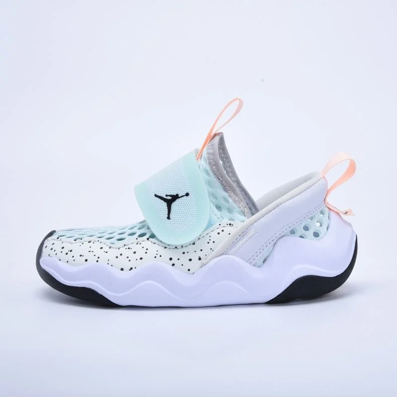 AIR JORDAN SHOES