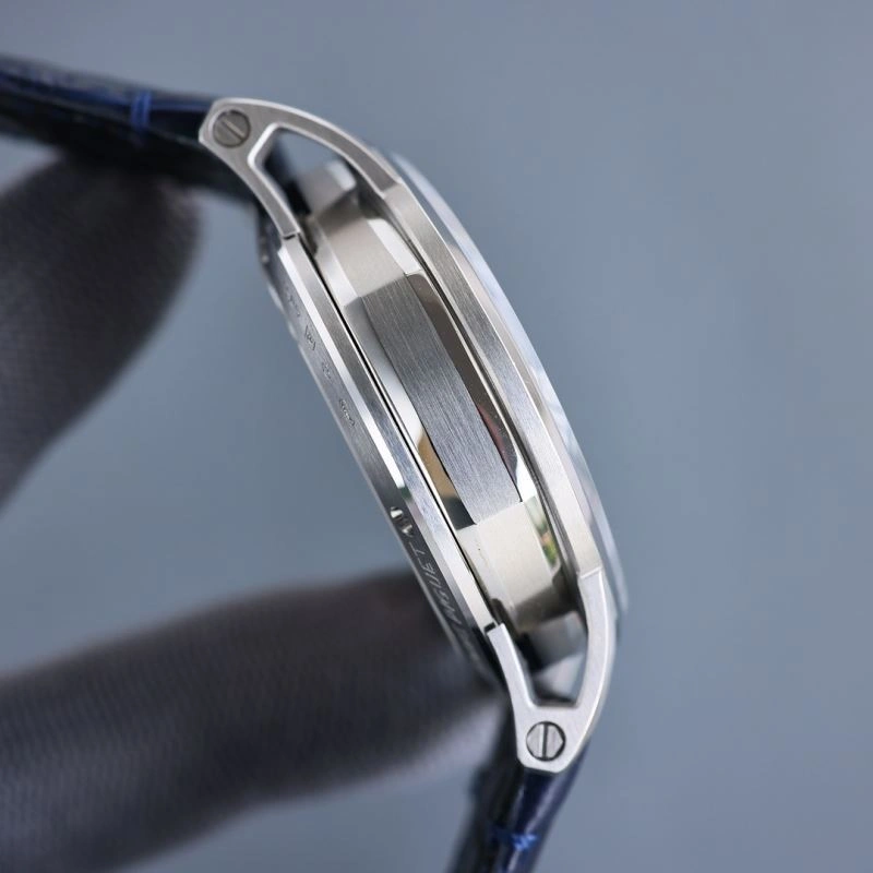 Affordable AP Watches