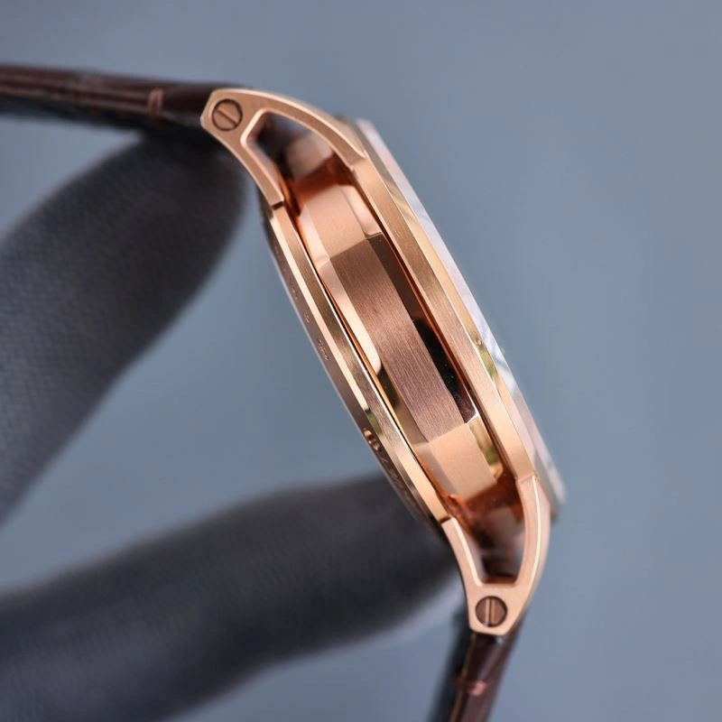 Precise copy AP Watches