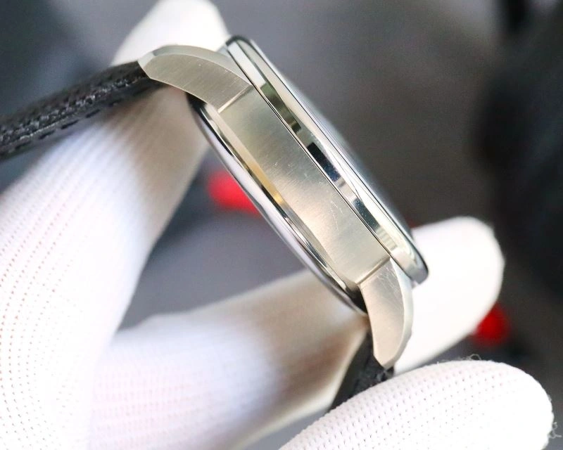 Top match AP Watches