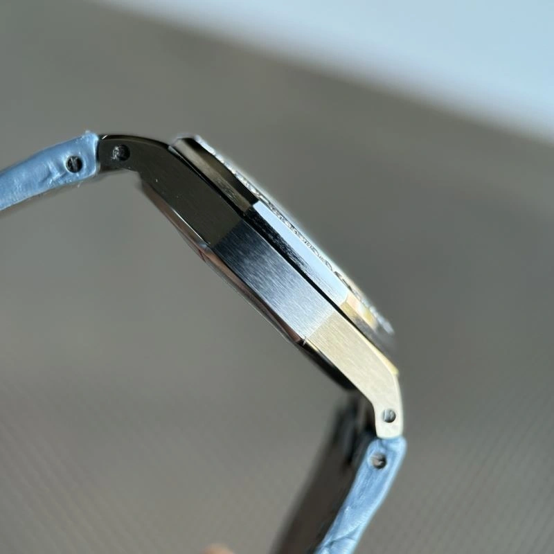 Brand-original AP Watches