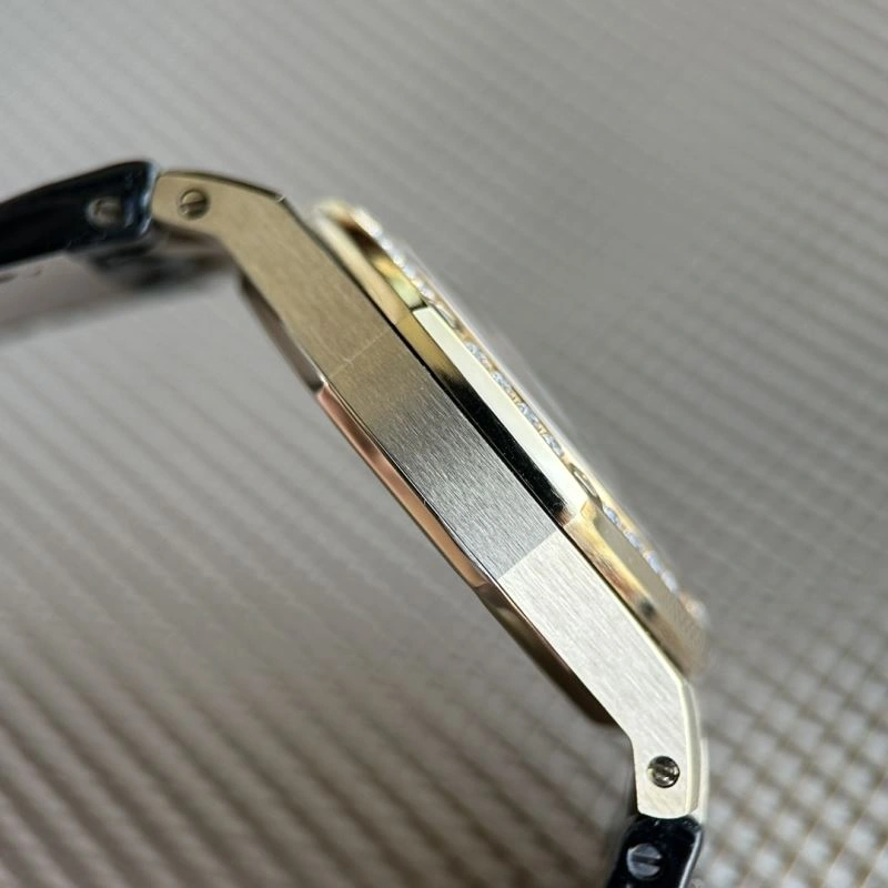 Real AP Watches