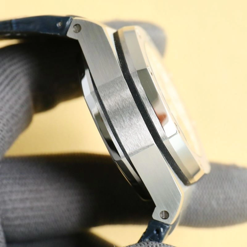 Precise copy AP Watches