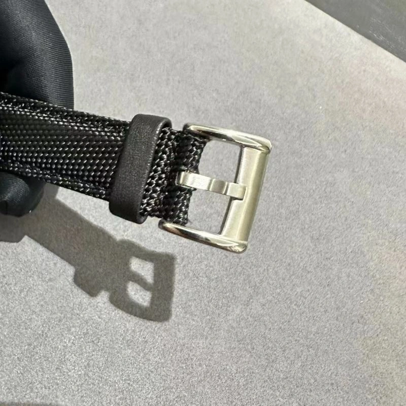 Original AP Watches