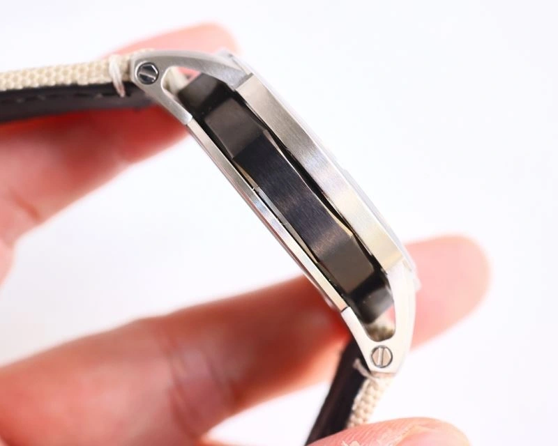 Authentic AP Watches
