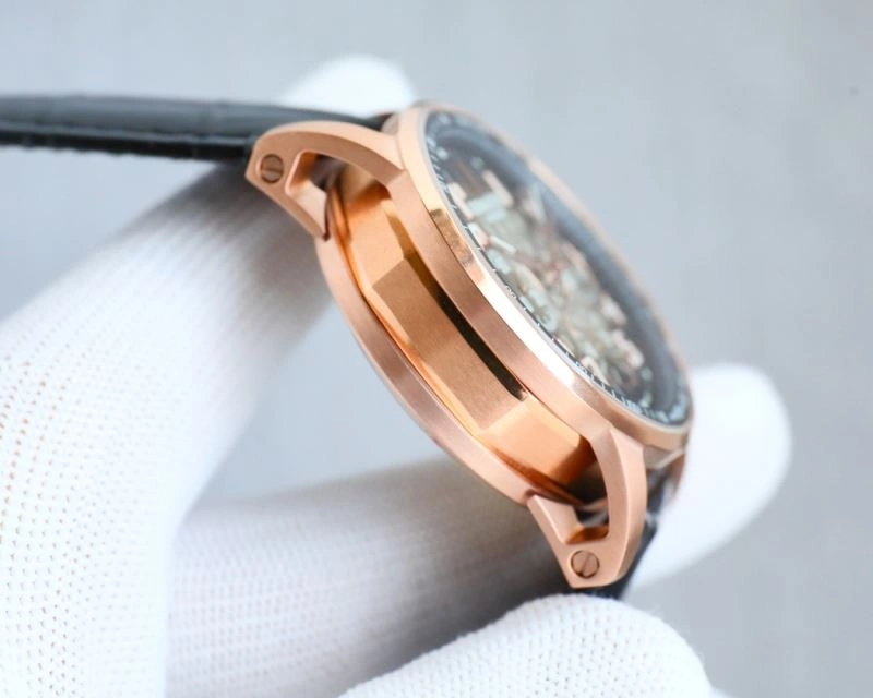 Factory-made AP Watches