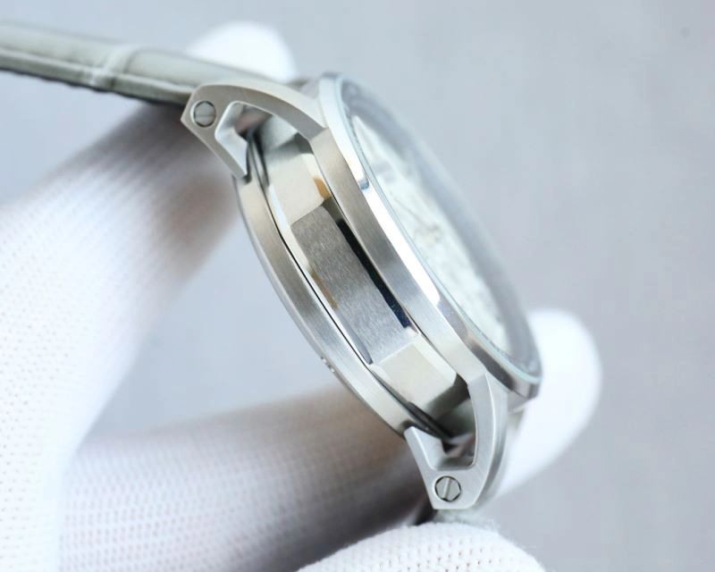 Authentic AP Watches