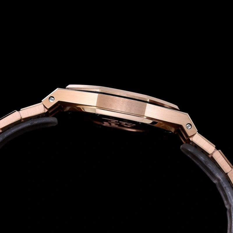 Authentic AP Watches
