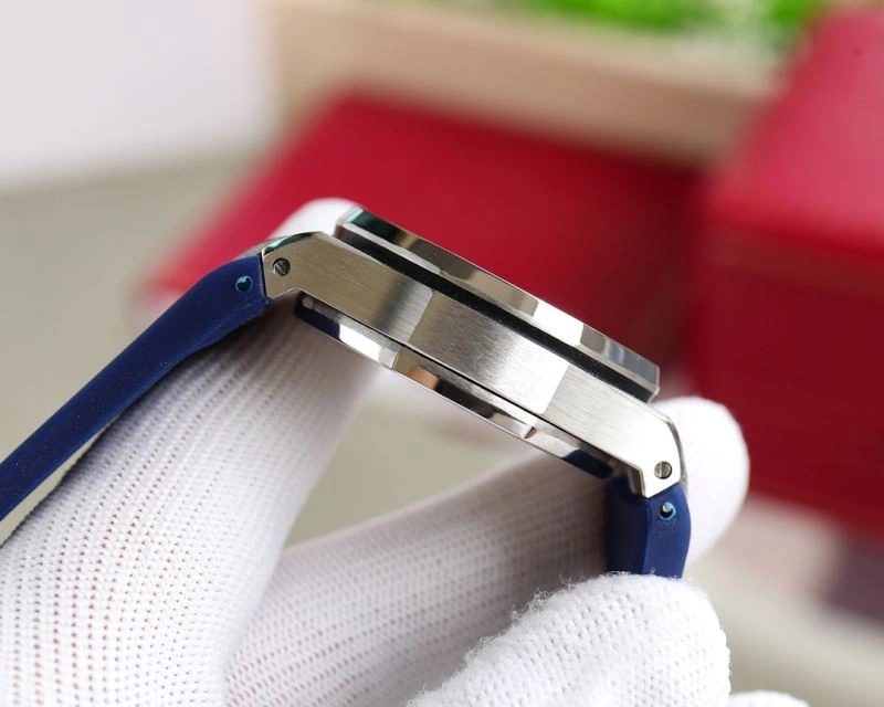 Inexpensive AP Watches