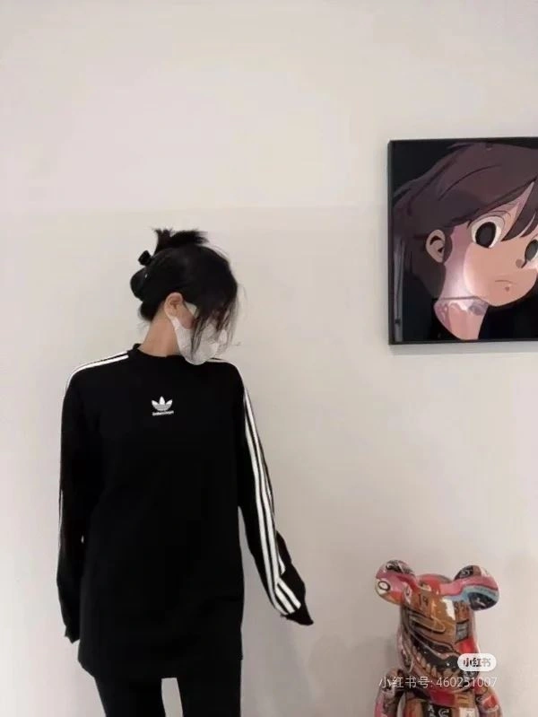 Accurate model Adidas Hoodies