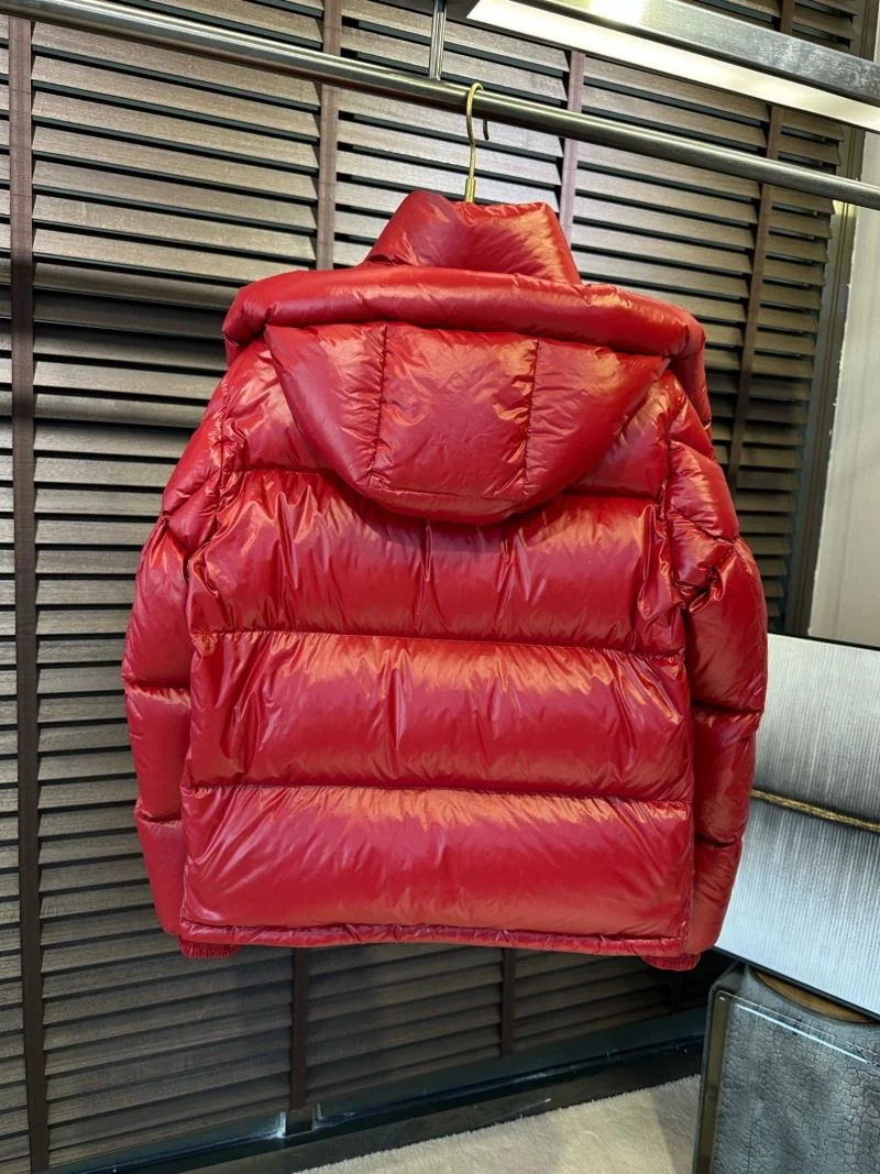 Reasonably priced Alexander Mcqueen Down Jackets