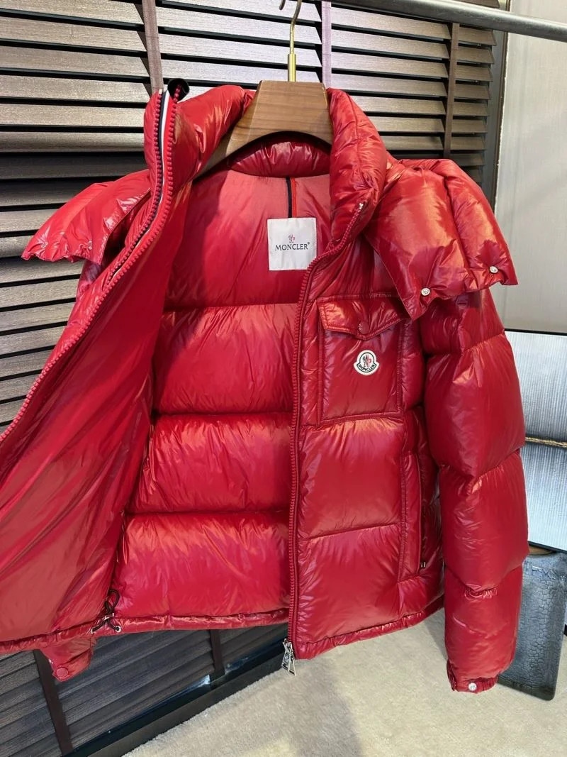 Reasonably priced Alexander Mcqueen Down Jackets
