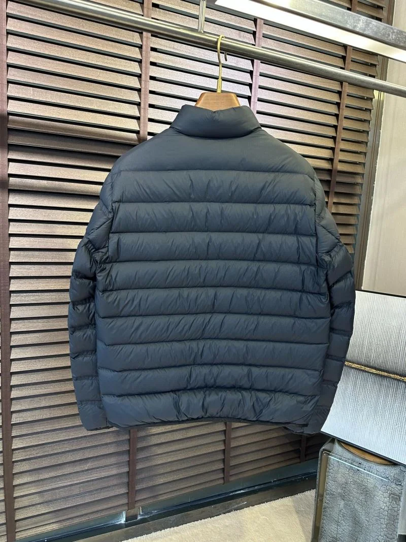 Low-cost Alexander Mcqueen Down Jackets