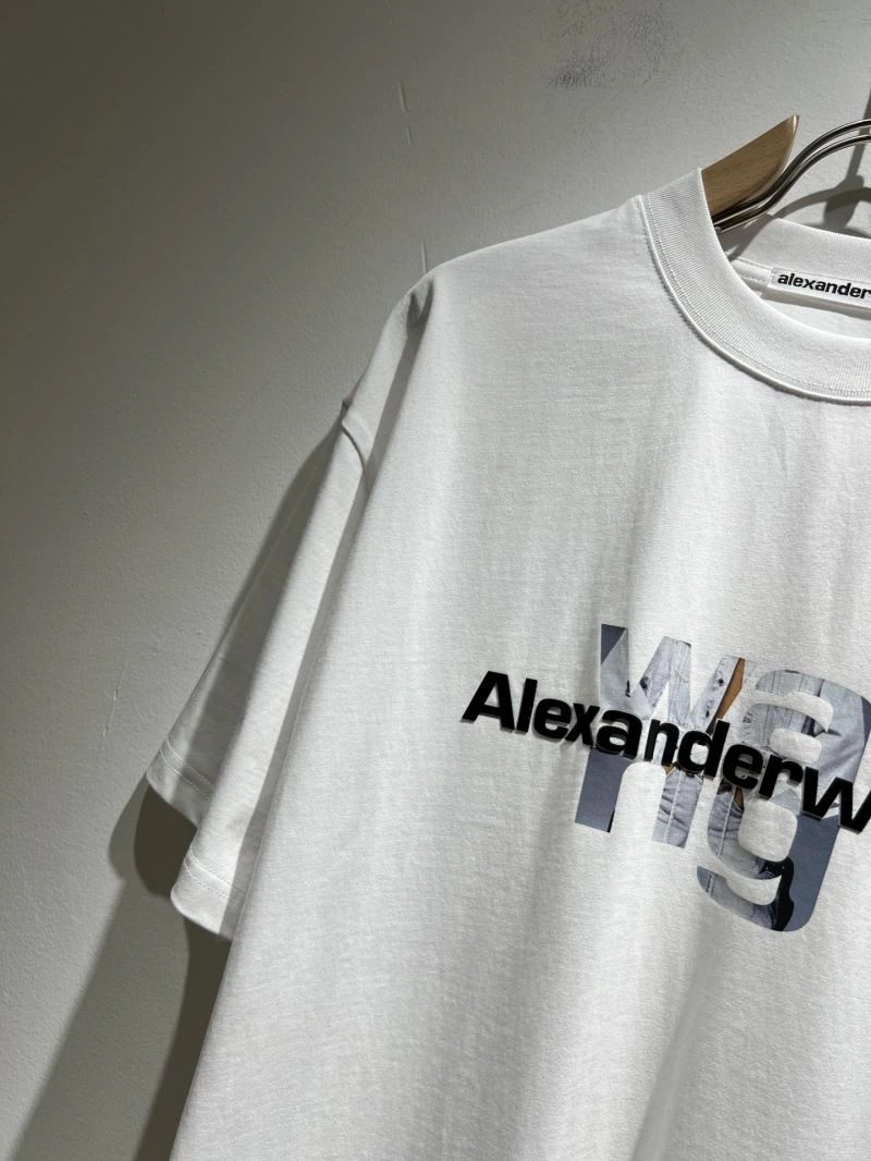 Affordable Alexander Mcqueen T-Shirts