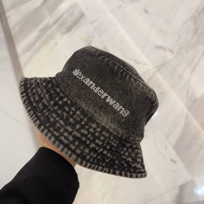 Cut-rate Alexander Wang Caps