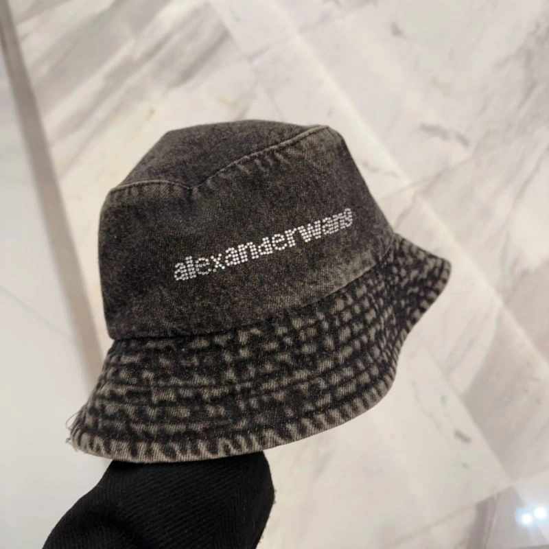 Cut-rate Alexander Wang Caps