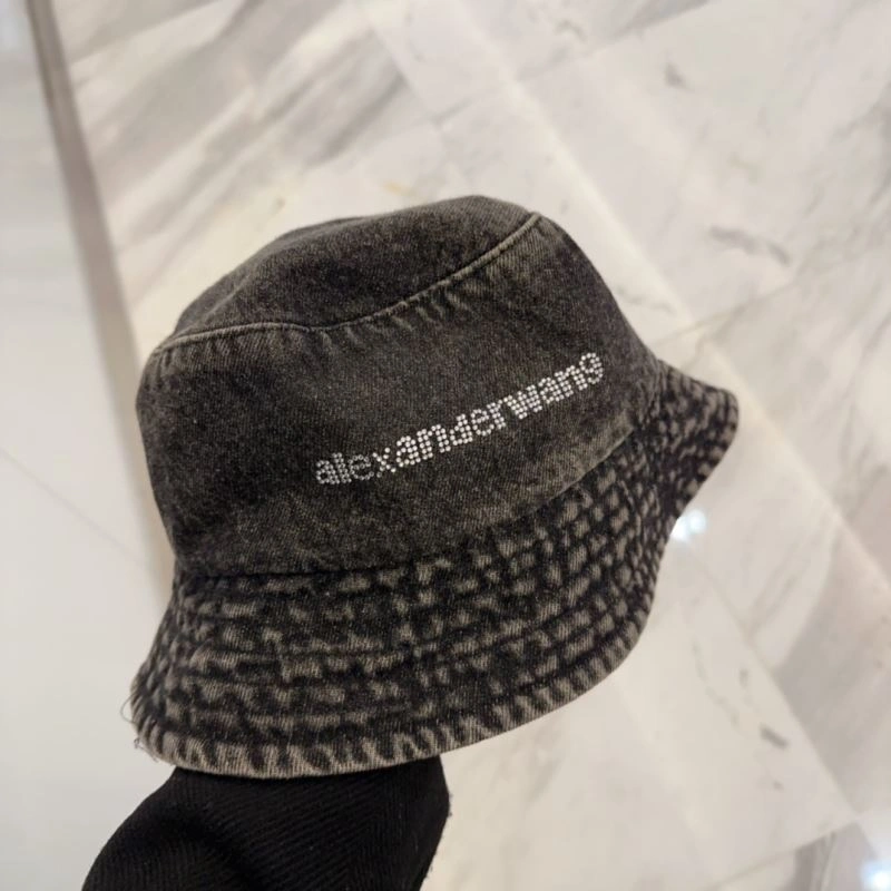 Cut-rate Alexander Wang Caps