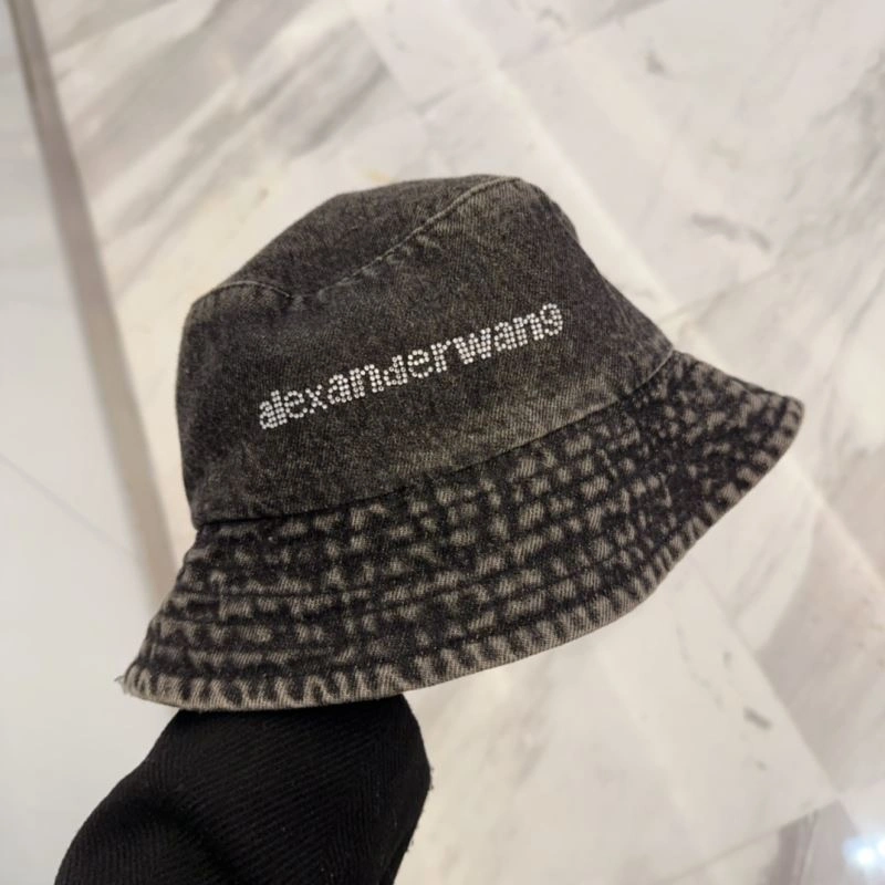 Cut-rate Alexander Wang Caps