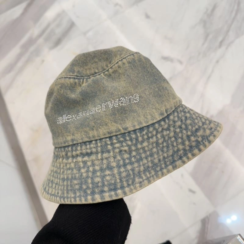 Precise copy Alexander Wang Caps