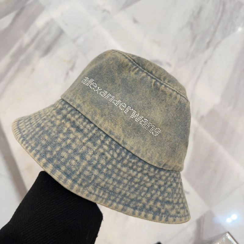 Precise copy Alexander Wang Caps