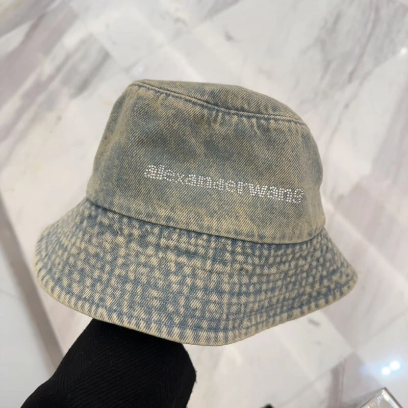 Precise copy Alexander Wang Caps