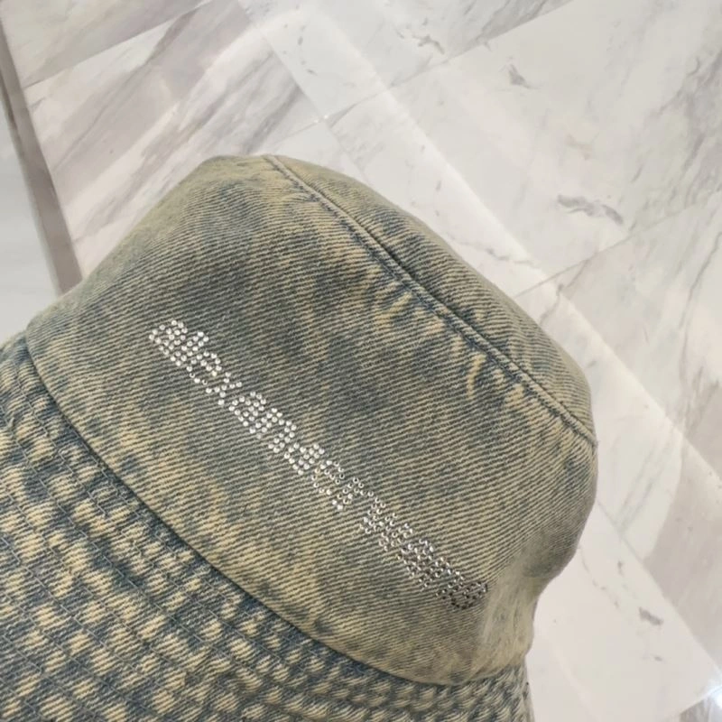 Precise copy Alexander Wang Caps