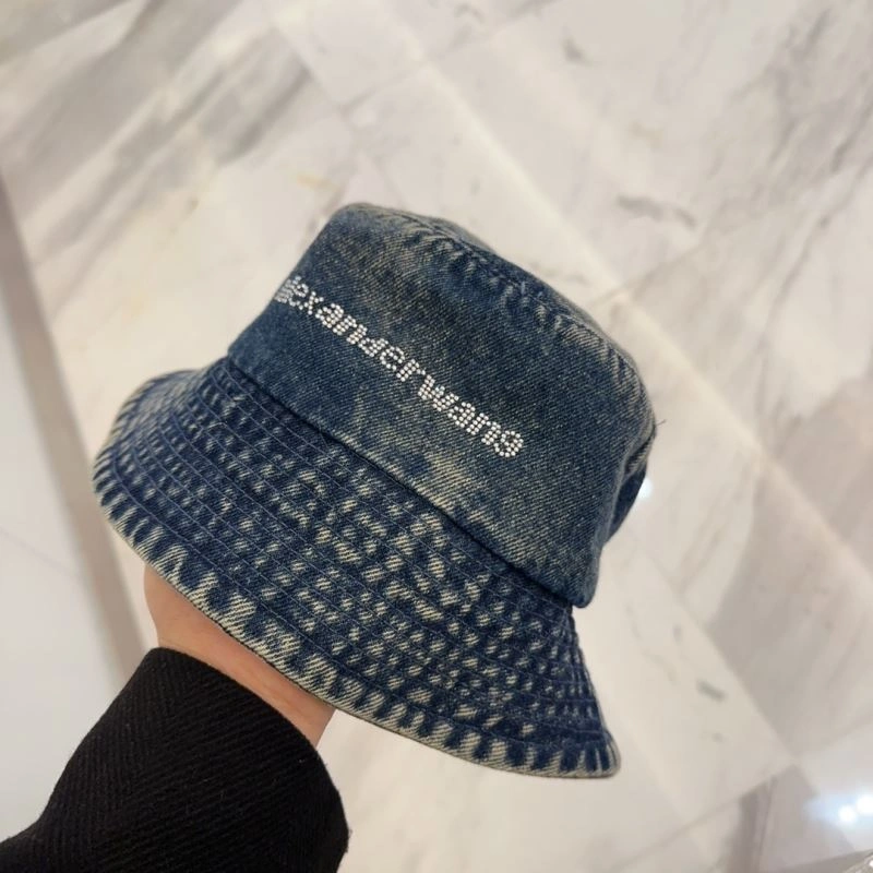 Indistinguishable Alexander Wang Caps