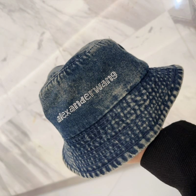 Indistinguishable Alexander Wang Caps