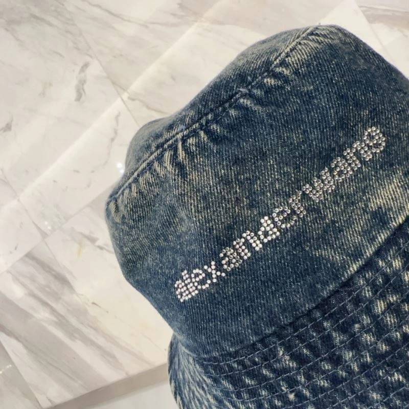 Indistinguishable Alexander Wang Caps