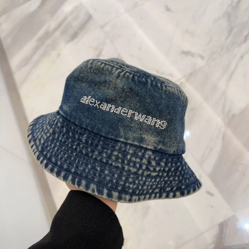 Indistinguishable Alexander Wang Caps