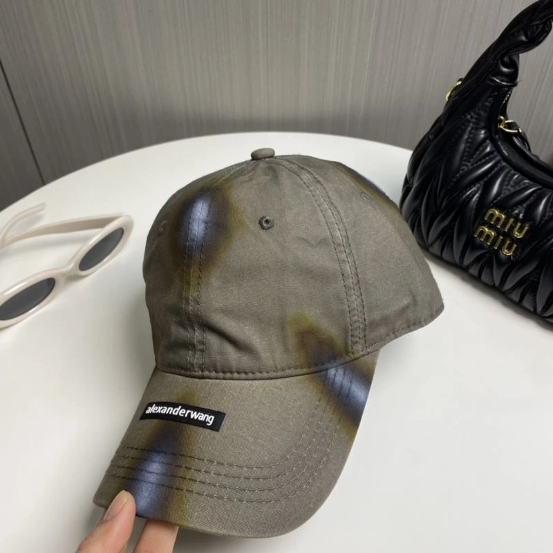 Budget-friendly Alexander Wang Caps