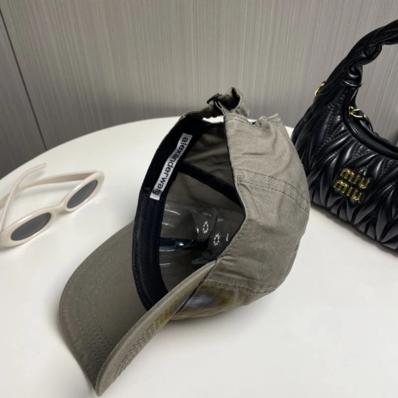 Budget-friendly Alexander Wang Caps