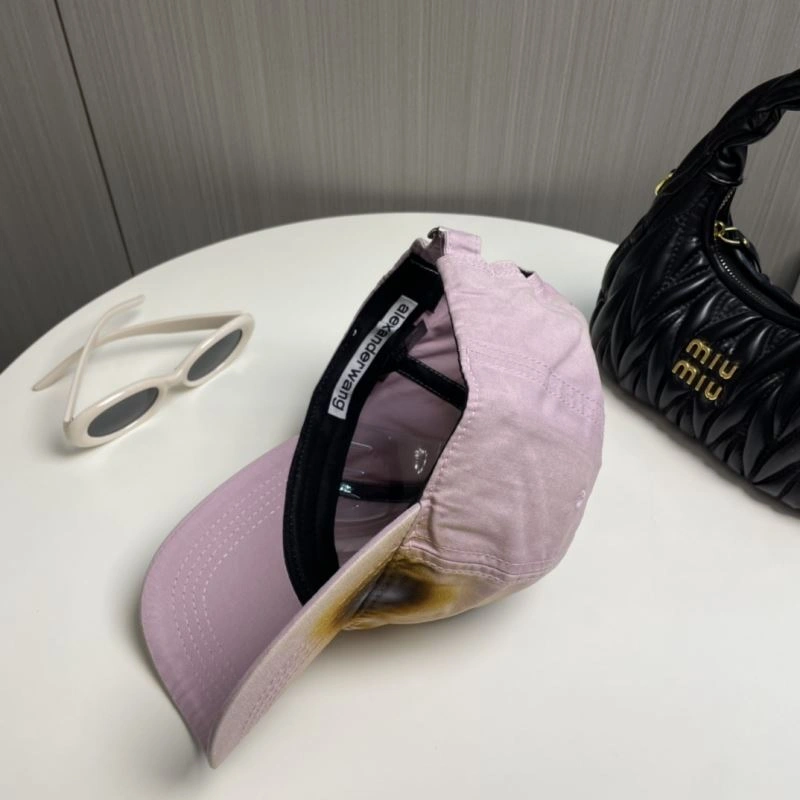 High fidelity Alexander Wang Caps