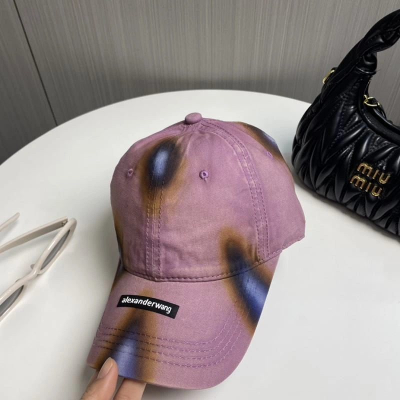 Economical Alexander Wang Caps