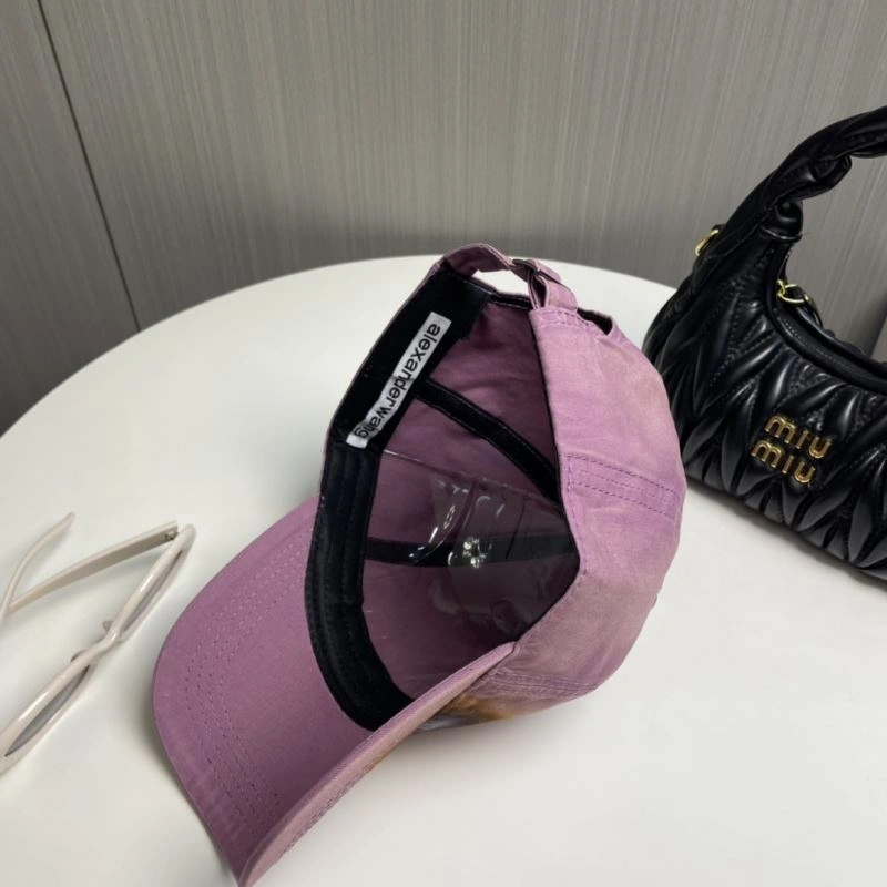 Economical Alexander Wang Caps