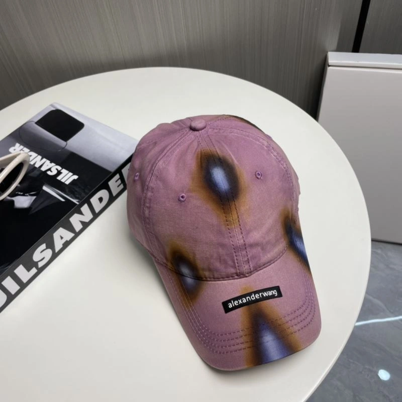 Economical Alexander Wang Caps