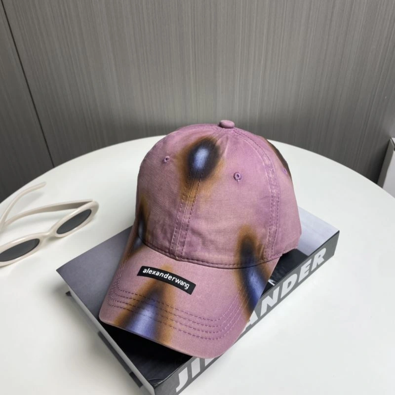 Economical Alexander Wang Caps