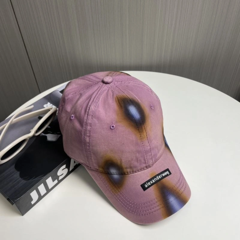 Economical Alexander Wang Caps