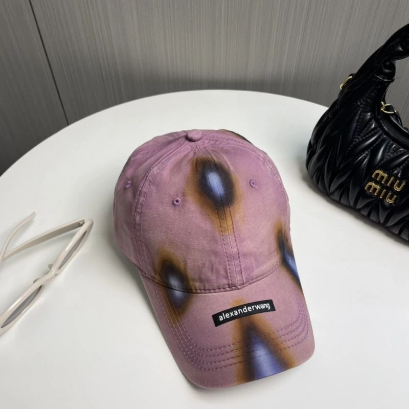 Economical Alexander Wang Caps