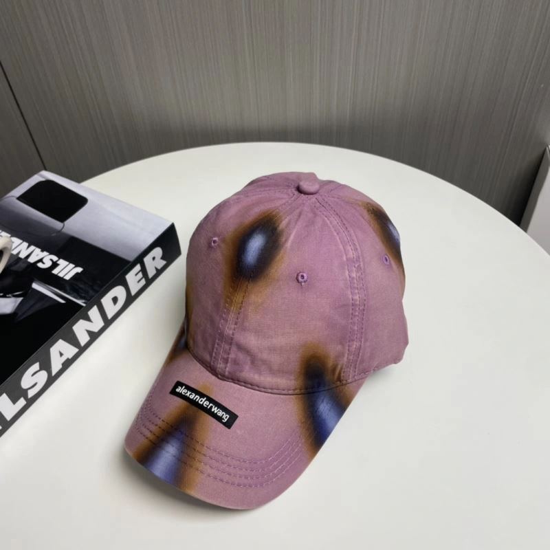 Economical Alexander Wang Caps