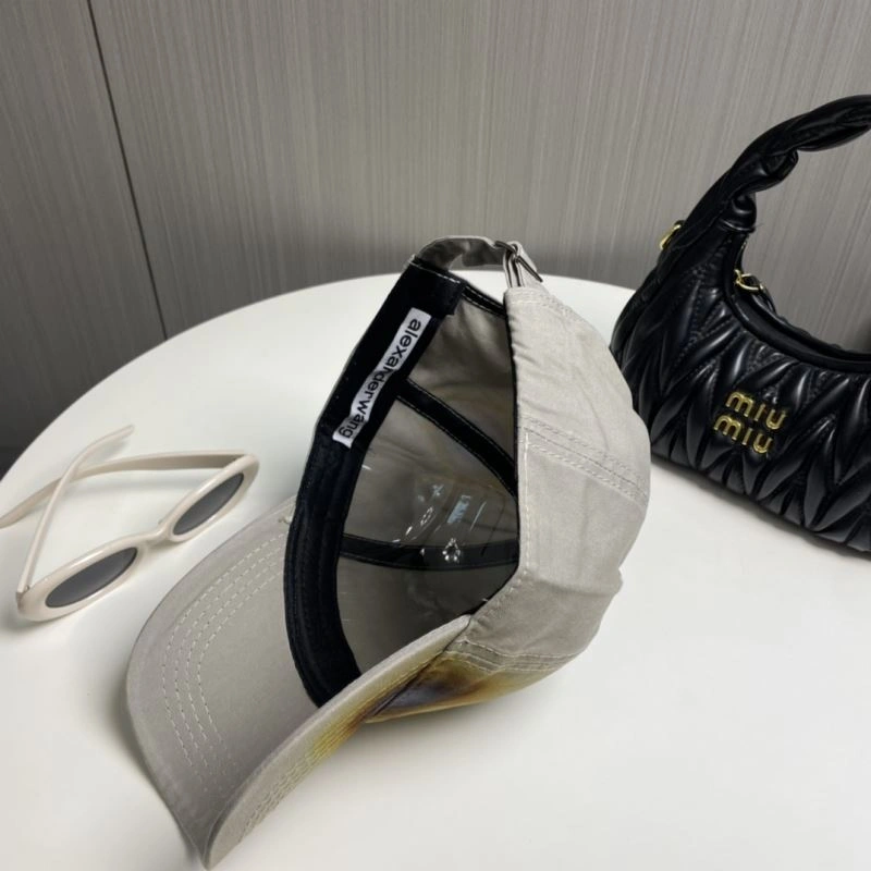 Precise copy Alexander Wang Caps