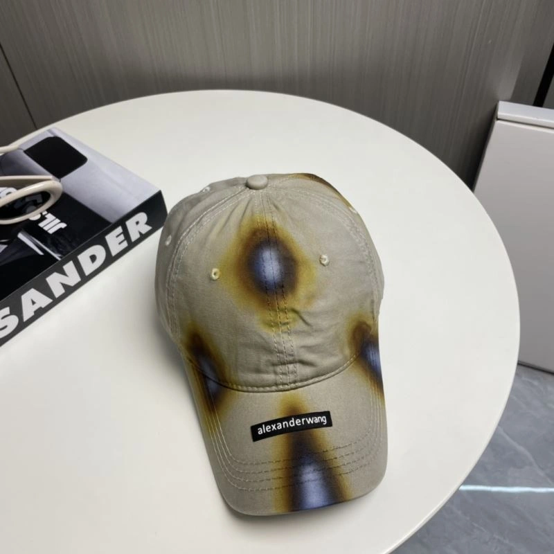 Precise copy Alexander Wang Caps
