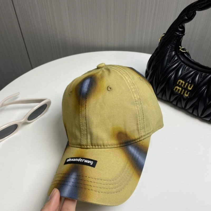 Cut-rate Alexander Wang Caps
