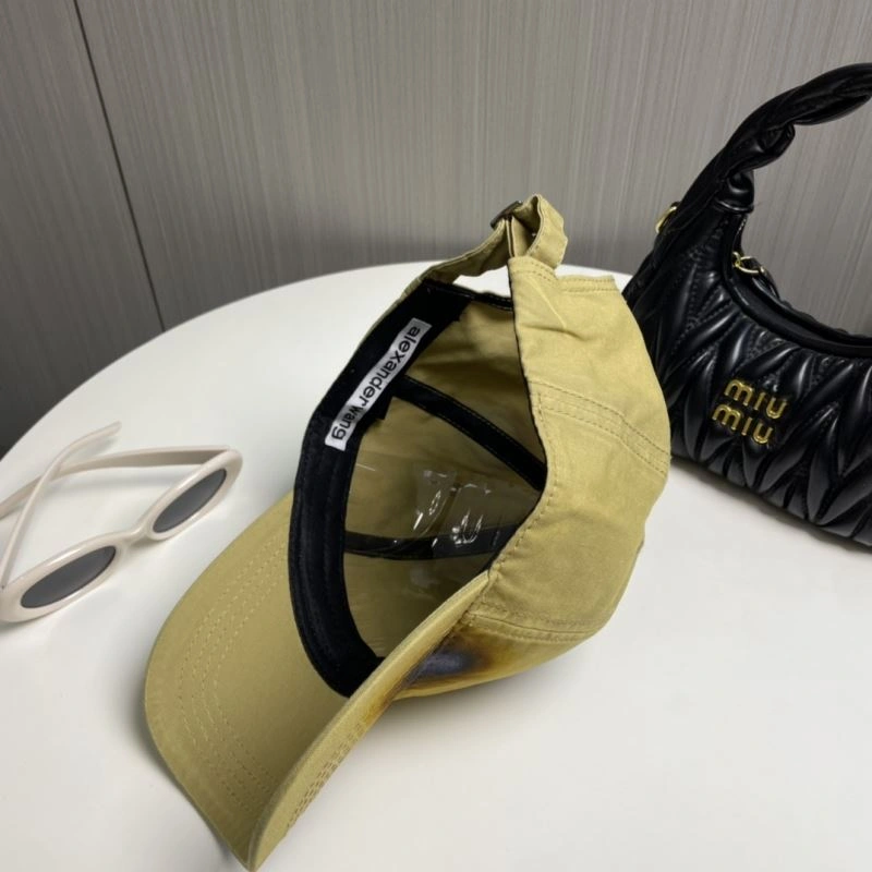 Cut-rate Alexander Wang Caps