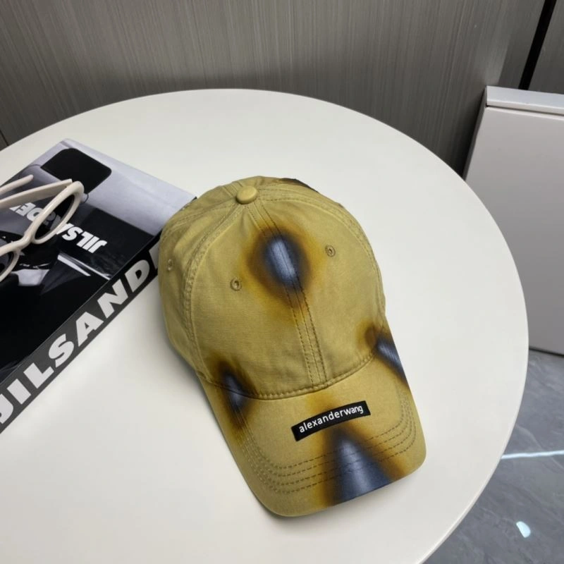 Cut-rate Alexander Wang Caps