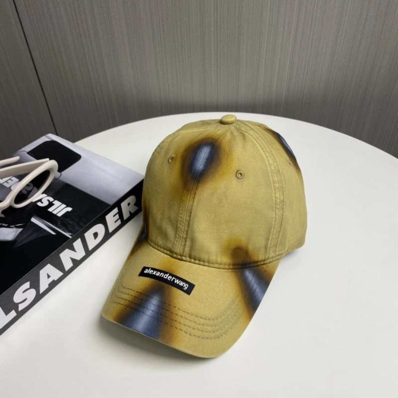 Cut-rate Alexander Wang Caps