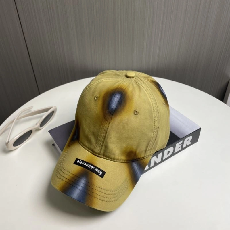 Cut-rate Alexander Wang Caps