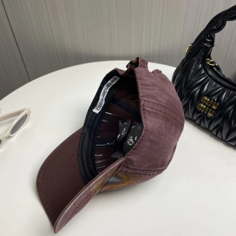Brand-original Alexander Wang Caps