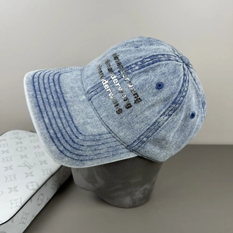 Cut-rate Alexander Wang Caps