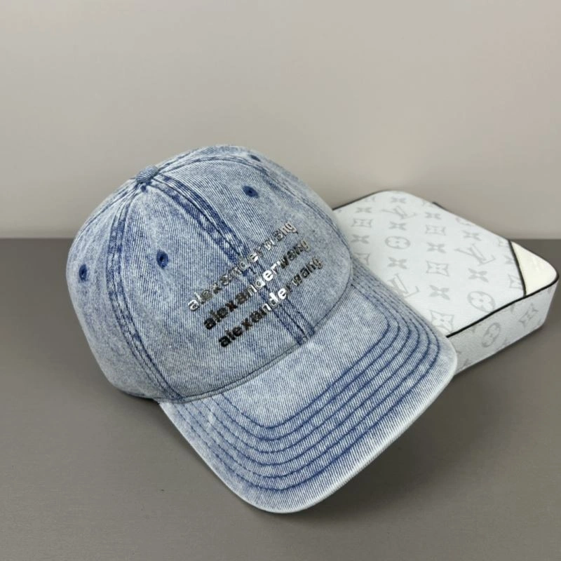 Cut-rate Alexander Wang Caps